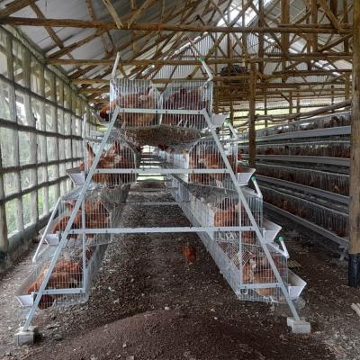 China Silver Color A Type Battery Layer Chicken Cage 120 Birds Hot Galvanized Steel for sale
