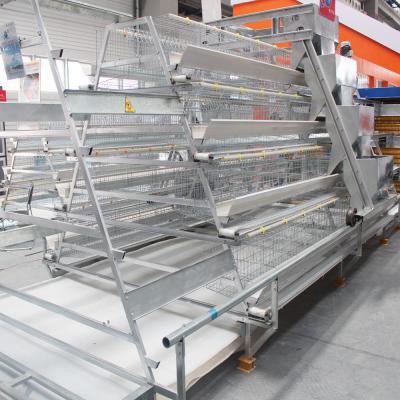 China Silver Cold Galvanized Layer Chicken Cage Steel Frame For Farm for sale