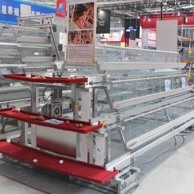 China 5 Tiers Battery Layer Chicken Cage 20000 Birds Layer Poultry Equipment for sale