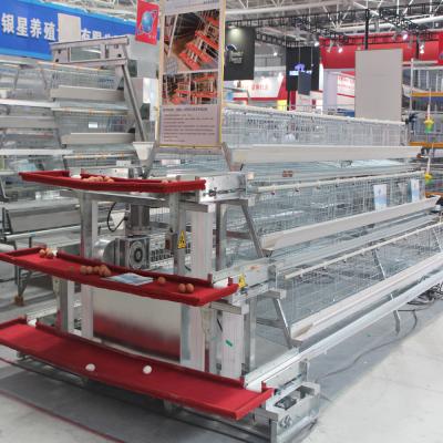 China Galvanized Steel Battery Chicken Cage 120 Birds Set A Type 3 Tiers Poultry Layer Equipment for sale