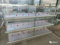 China Galvanized Multi-Tier Broiler Chicken Cage 3-9 Tiers 162-540 Chickens Capacity for sale