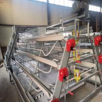 China Full Automatic Broiler Baby Chick Cage Hot Galvanized With Manure Cleaning System for sale