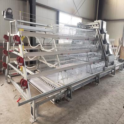 China Cold Hot Galvanized A Type Broiler Baby Chick Cage High Feeding Efficiency for sale