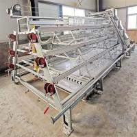 China Hot Galvanized A Type Broiler Baby Chick Cage  For Automatic Rearing for sale