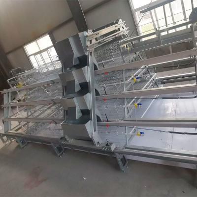 China Hot Galvanized A Type Broiler Baby Chick Cage  For Automatic Rearing for sale