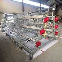 China 4 Tier Battery Baby Chicken Cages Layer A Type Pullet Hot Galvanized for sale