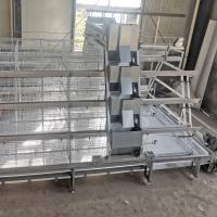 China Galvanized Steel Broiler Baby Chick Cage 3 Tier 126 Birds Capacity for sale