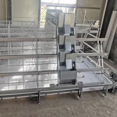 China Galvanized Steel Broiler Baby Chick Cage 3 Tier 126 Birds Capacity for sale