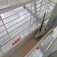 China One Day Old Broiler Battery Baby Chick Cage for sale