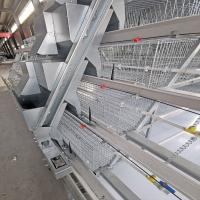 China Broiler Meat Galvanized Chicken Cage 13 Chicks/Cell Automatic Feeding for sale