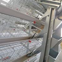 China A Type Battery Baby Chick Cage Manure Cleaning Eggs Collecting for sale