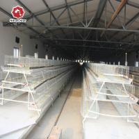China Hot Dip Galvanized Poultry Cage for Baby Chickens 3-9 Tiers 162-540 Capacity for sale