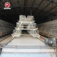 China 3 Tier Automatic Broiler Baby Chick Cage 126 Birds Sliding Grids 2.15mm Steel for sale