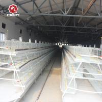 China A Type 3 Tier Meat Broiler Baby Chick Cage 126 Birds Capacity 183x230x150cm for sale
