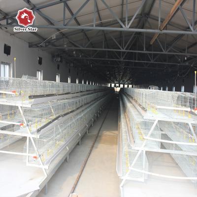 China A Type 3 Tier Meat Broiler Baby Chick Cage 126 Birds Capacity 183x230x150cm for sale