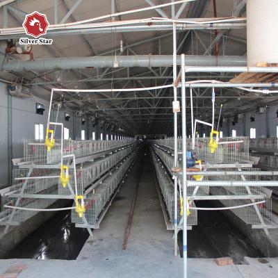 China 3 Tier A Type Layer Chicken Cage 410mm Deep for 120 Laying Hens Poultry Equipment for sale