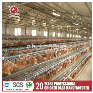China Layer Poultry Equipment A Frame Layer Cages SGS Approved for sale