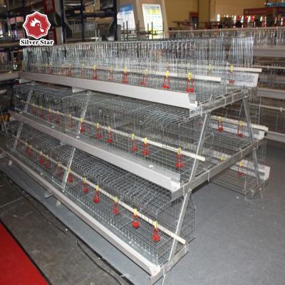 China 61x50cm Broiler Baby Chick Cage 13 Birds Per Cell Galvanized Steel Manure Cleaning for sale
