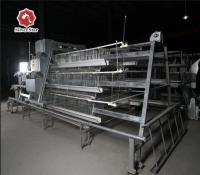China Broiler Baby Chick Cage With Full Feeding System for sale