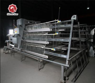 China Broiler Baby Chick Cage With Full Feeding System for sale