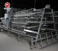 China A Type Hot Galvanized Baby Chick Cage 4 Tiers 168 Birds Capacity for sale