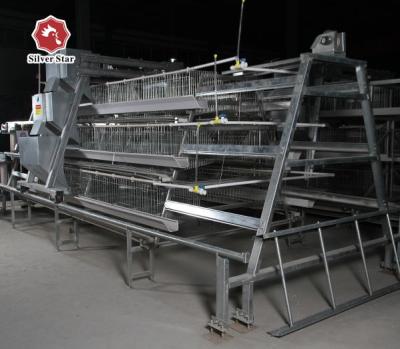 China H Type Pullet Rearing Cage 3-8 Tiers 85x62.5x50cm Cell for 102-272 Birds for sale