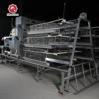 China Baby Chick Cage With Full Automatic System For Farm for sale