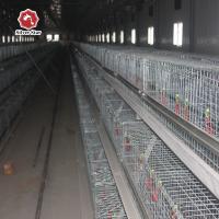 China Hot Galvanized Full Automatic Baby Chick Cage 3-8 Tiers 126-168 Birds Capacity for sale