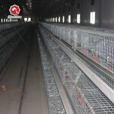 China Hot Galvanized Full Automatic Baby Chick Cage 3-8 Tiers 126-168 Birds Capacity for sale