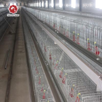 China Baby Chick Cage With Full Automatic System For Farm for sale