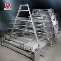 China Full Automatic Manure Cleaning System Baby Chick Cage 3-8 Tiers H Type for sale