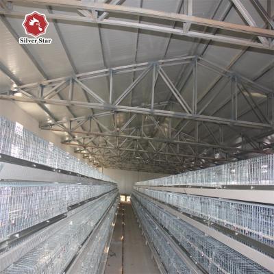 China Broiler Chicken Farm Automatic Battery Cage System 13 Chicks/Cell for sale
