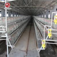 China Durable Layer Baby Chick Cage SGS Manure Removing for sale