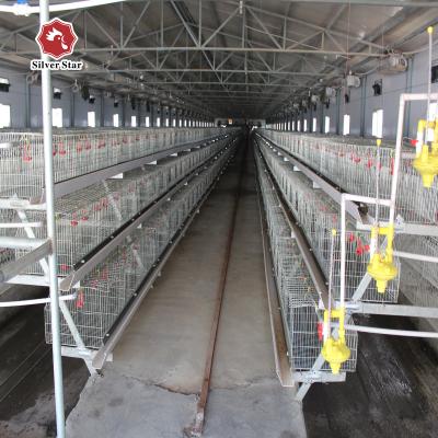 China Durable Layer Baby Chick Cage SGS Manure Removing for sale