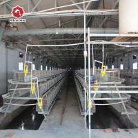 China H Type Battery Layer Chicks Brooder Cage 1800x1200mm 4 Tier Poultry Farming Equipment for sale