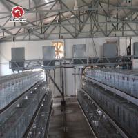 China Smooth Mesh Baby Chick Cage Wire Mesh A Frame Chicken Cage for sale