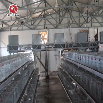 China Smooth Mesh Baby Chick Cage Wire Mesh A Frame Chicken Cage for sale