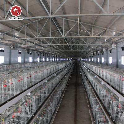 China Broiler Baby Chick Cage 3 Tier 126 Birds Capacity Galvanized Steel Poultry Equipment for sale