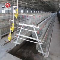 China Anti Corrosion 4 Tiers Baby Chick Cage 168 Birds Capacity with Wire Nipple Drinker for sale