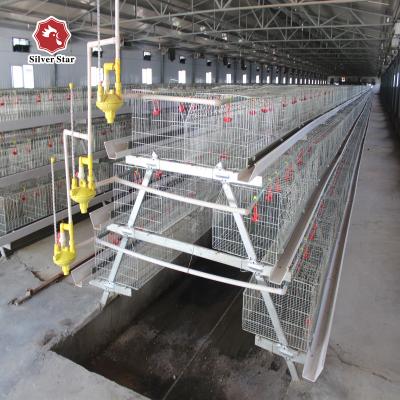 China Anti Corrosion 4 Tiers Baby Chick Cage 168 Birds Capacity with Wire Nipple Drinker for sale