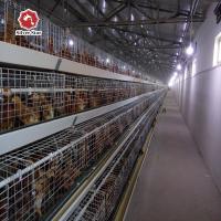 China Hot Galvanized Q235 Chicken Raising Equipment Multi Layer for sale