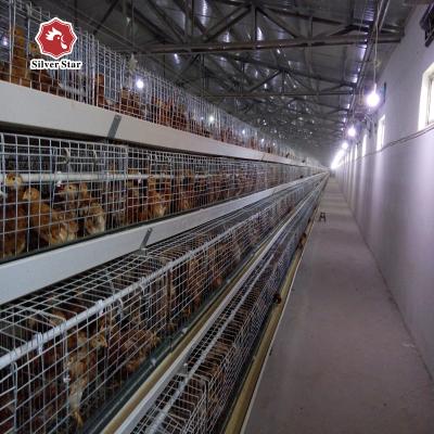 China Hot Galvanized Q235 Chicken Raising Equipment Multi Layer for sale