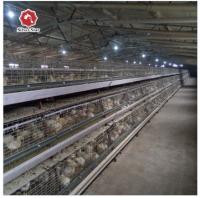 China A Type Coop Layer Chicken Cage 430mm Long For Poultry Farm for sale