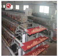 China A Type Stainless Steel Chicken Cage Hot Galvanized Or Cold Galvanized for sale