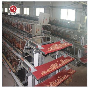 China A Type 3-4 Tier Layer Chicken Cage System 90-160 Birds Poultry Battery Cage Farming Equipment for sale