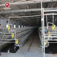 China H Type Layer Chicken Cage 3-5 Tier 120-200 Birds Poultry Farm Equipment for sale