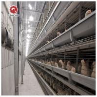 China Four-tier Ventilated Automatic Layer Cage System For 120 Chickens. for sale