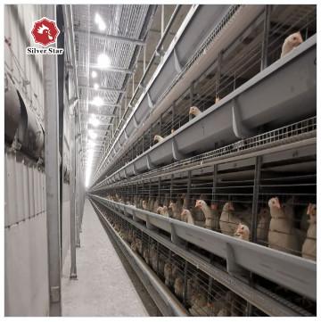 China Q235 Hot Galvanized Automatic A Type H Type Poultry Farming Chicken Cage For Layer Equipment for sale