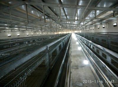 China The Four-tier Battery Cage System Includes Automatic Ventilation, Housing Up To 120 Layer Chickens. for sale