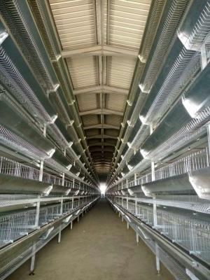 China 6 Tiers Q235 Battery Layer Hens Cage Chicken Breeding Cage for sale